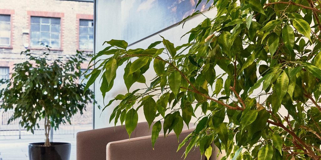 Contact - Universal Square